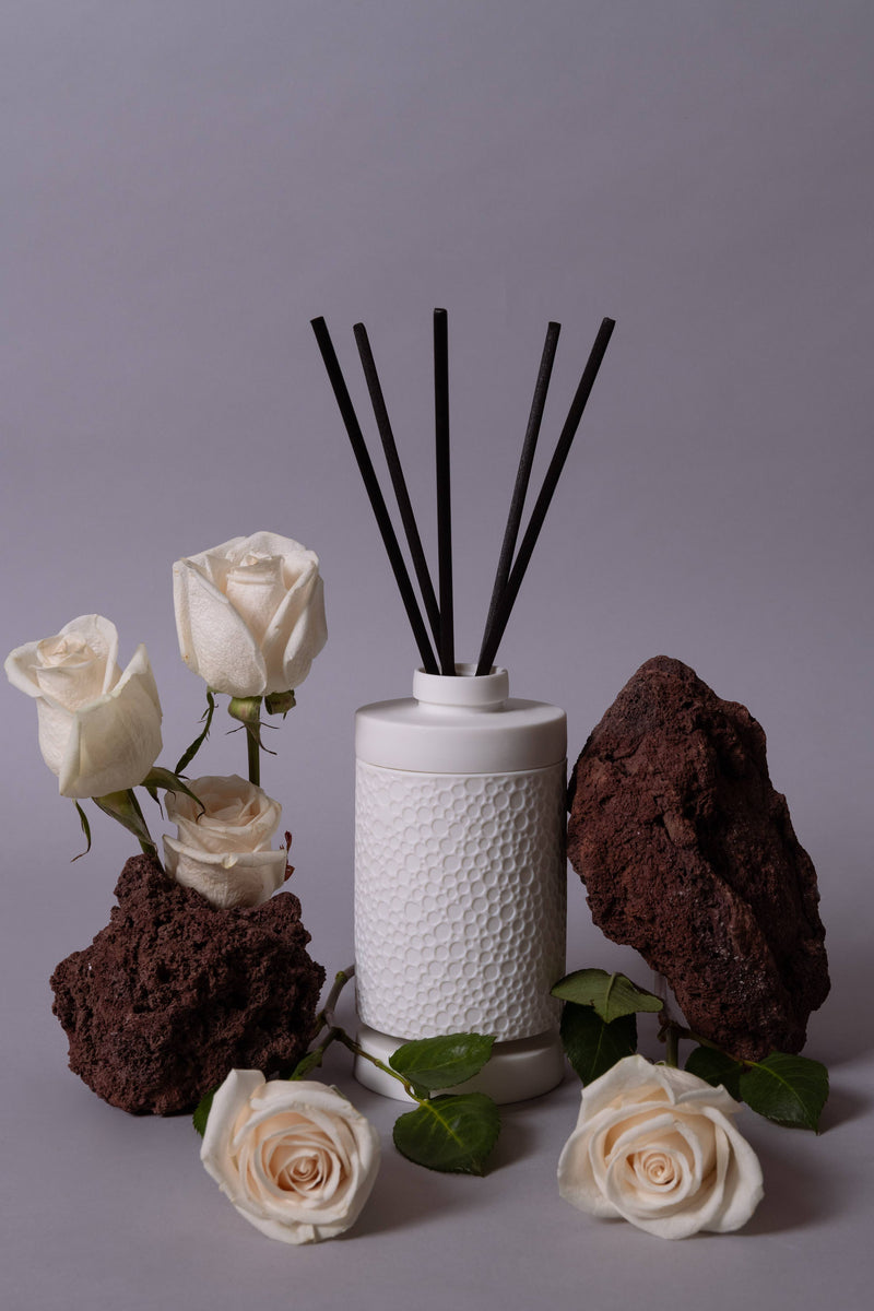 Reed Diffusers – Van Dang Fragrances